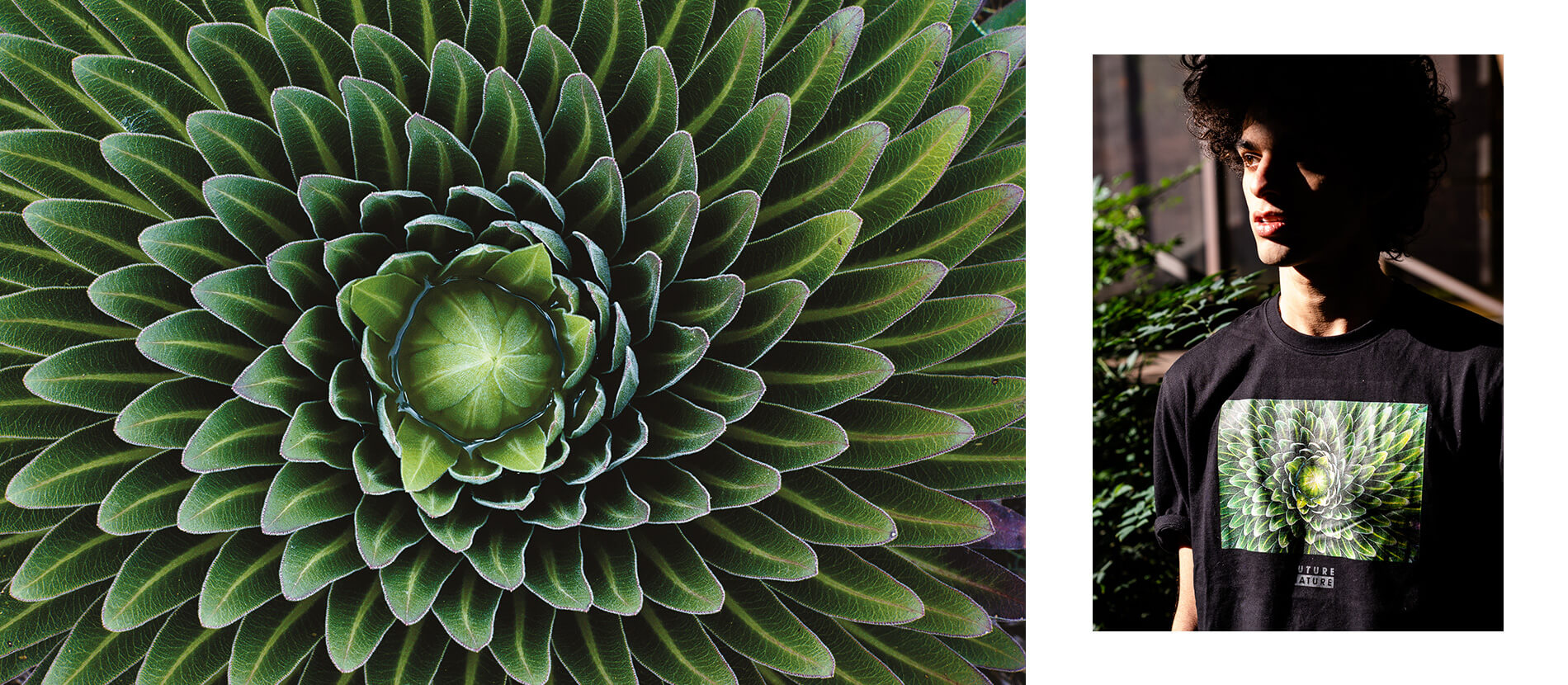 National Geographic - Future Nature | Element