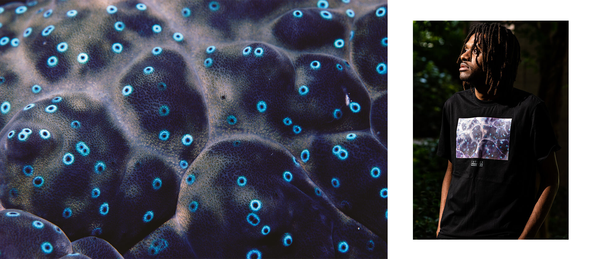 National Geographic - Future Nature | Element